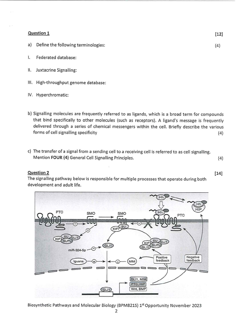 BPM821S - BIOSYNTHETIC PATHWAYS AND MOLECULAR BIOLOGY - 1ST OPP ...