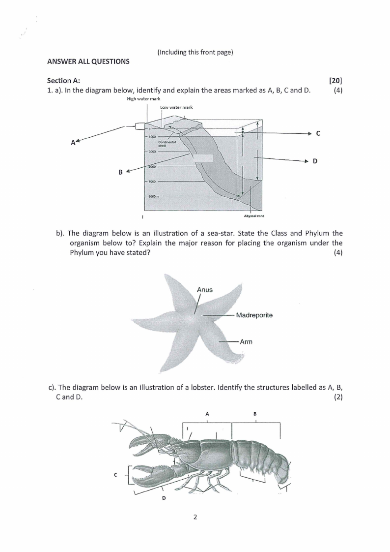 MAB702S - MARINE BIOLOGY 3B - 2ND OPP - JAN 2023 :: NUST past ...