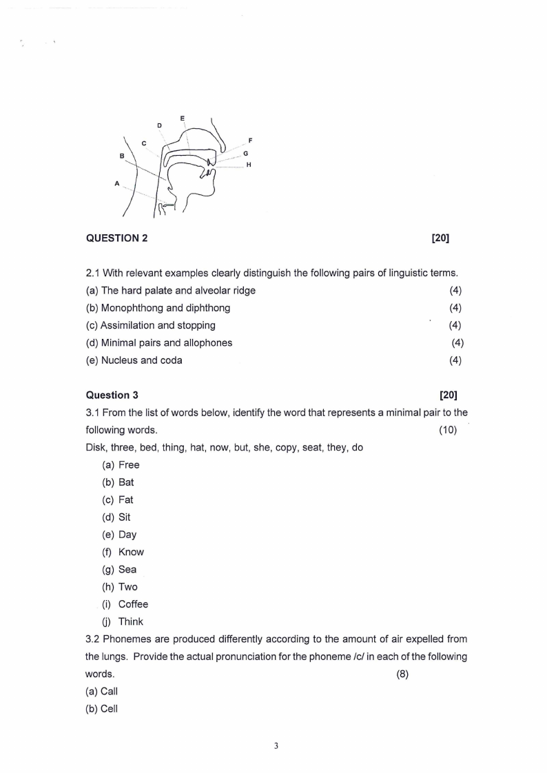 IPP521S - INTRODUCTION TO PHONETICS AND PHONOLOGY - 2ND OPP - JANUARY ...